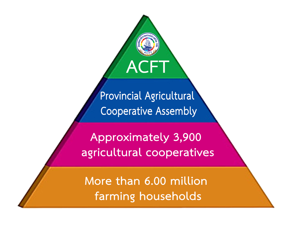 Structure of The Agricultural Co-operative Federation of Thailand, Ltd ...